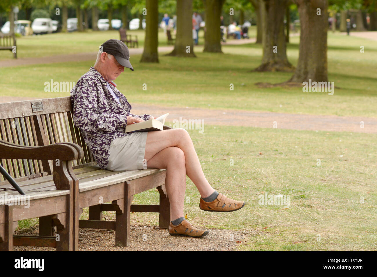 Sat reading a book hi-res stock photography and images - Alamy