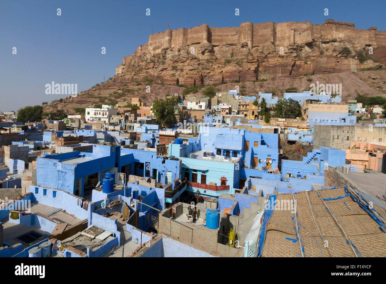 India, Rajasthan state, Jodhpur, the blue city and the Mehrangarh fort ...