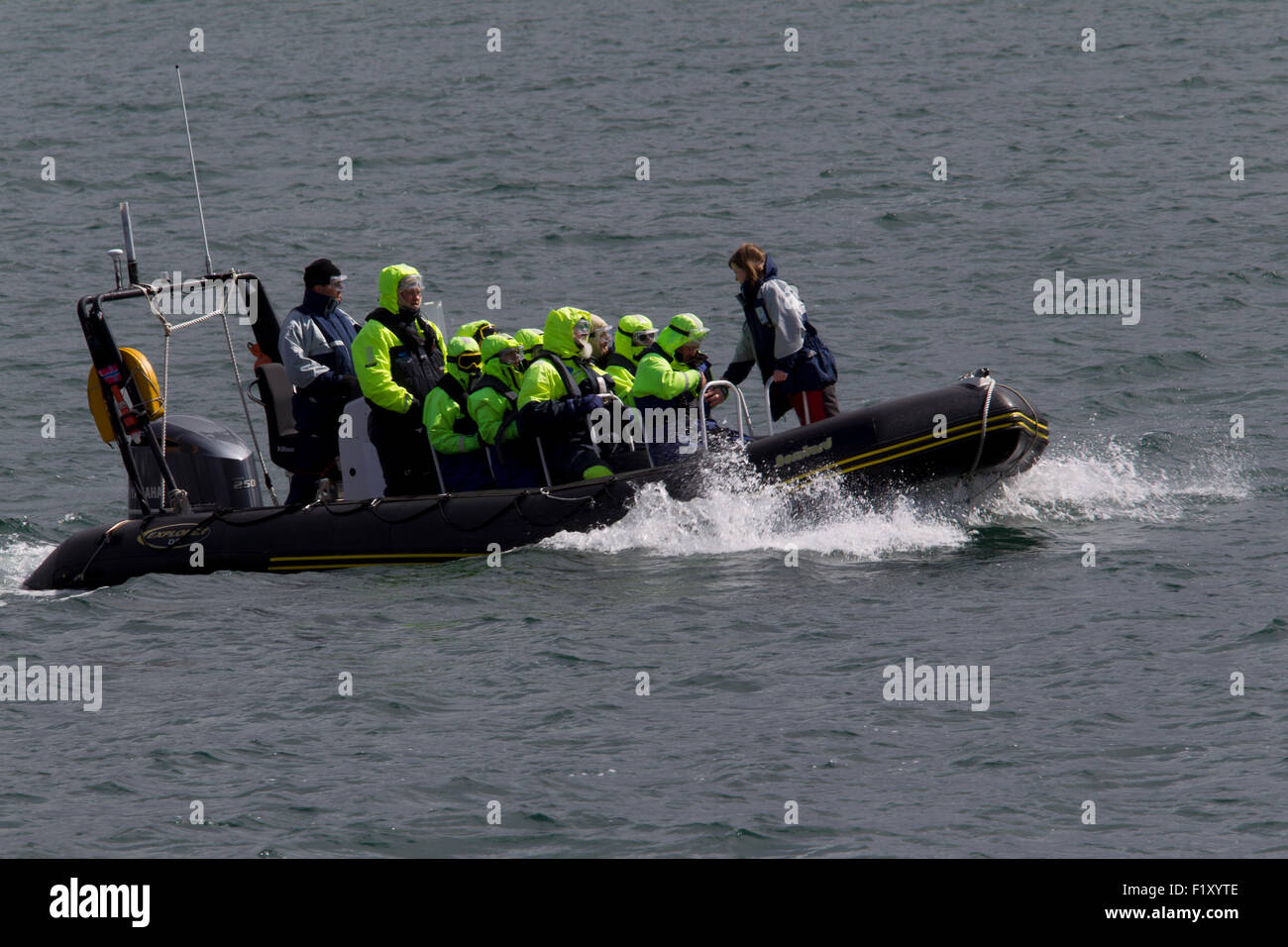 Whale safari boat hi-res stock photography and images - Alamy