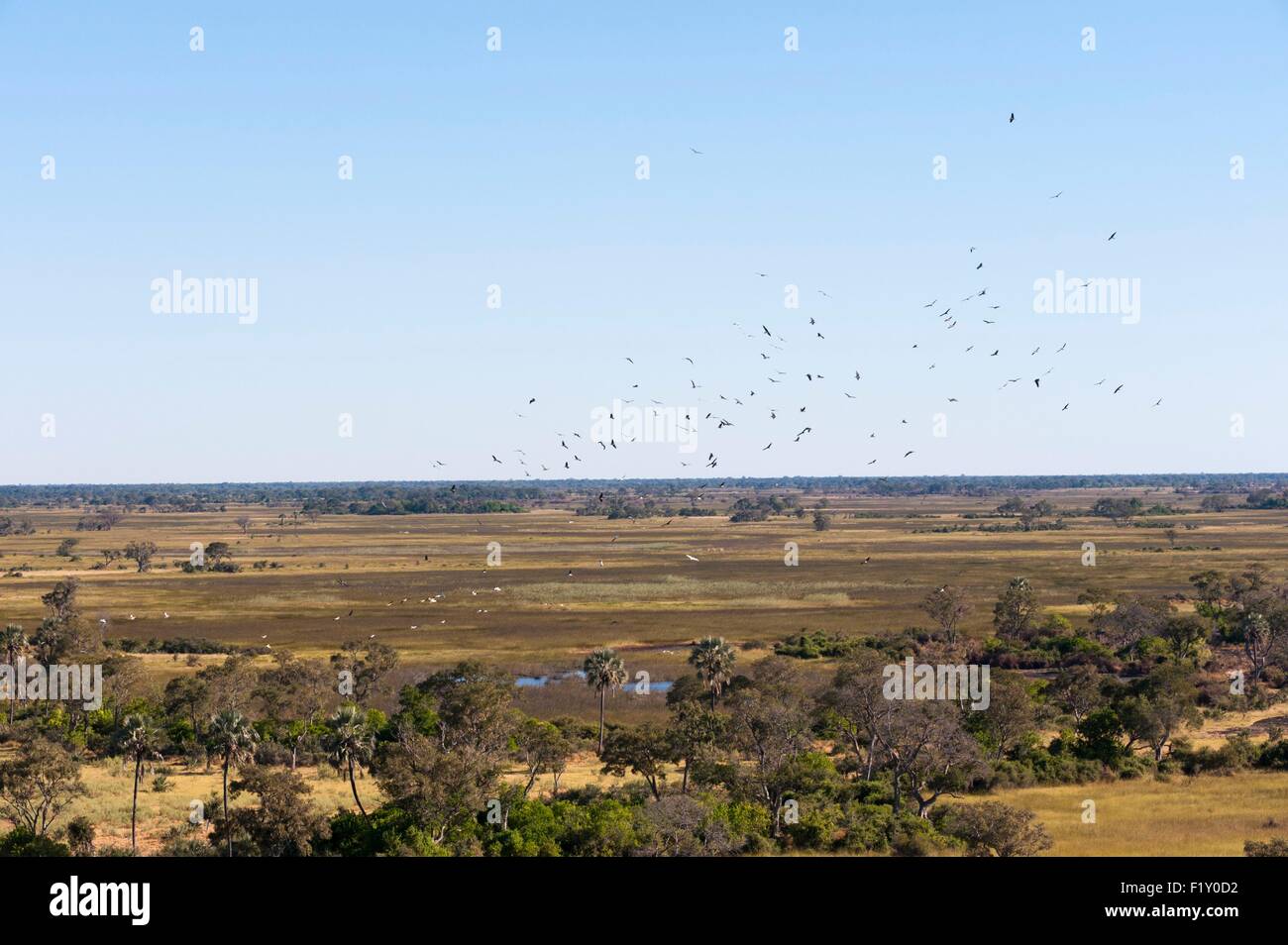 Botswana, Okavango Delta (aerial view Stock Photo - Alamy