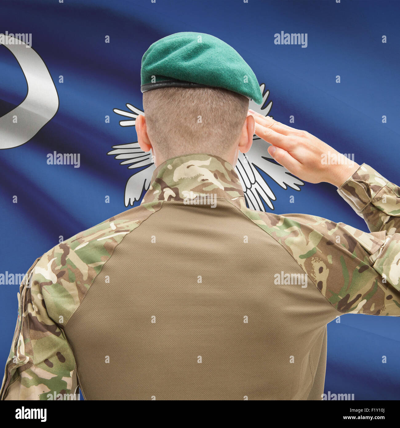 Soldier saluting to US state flag series - South Carolina Stock Photo ...