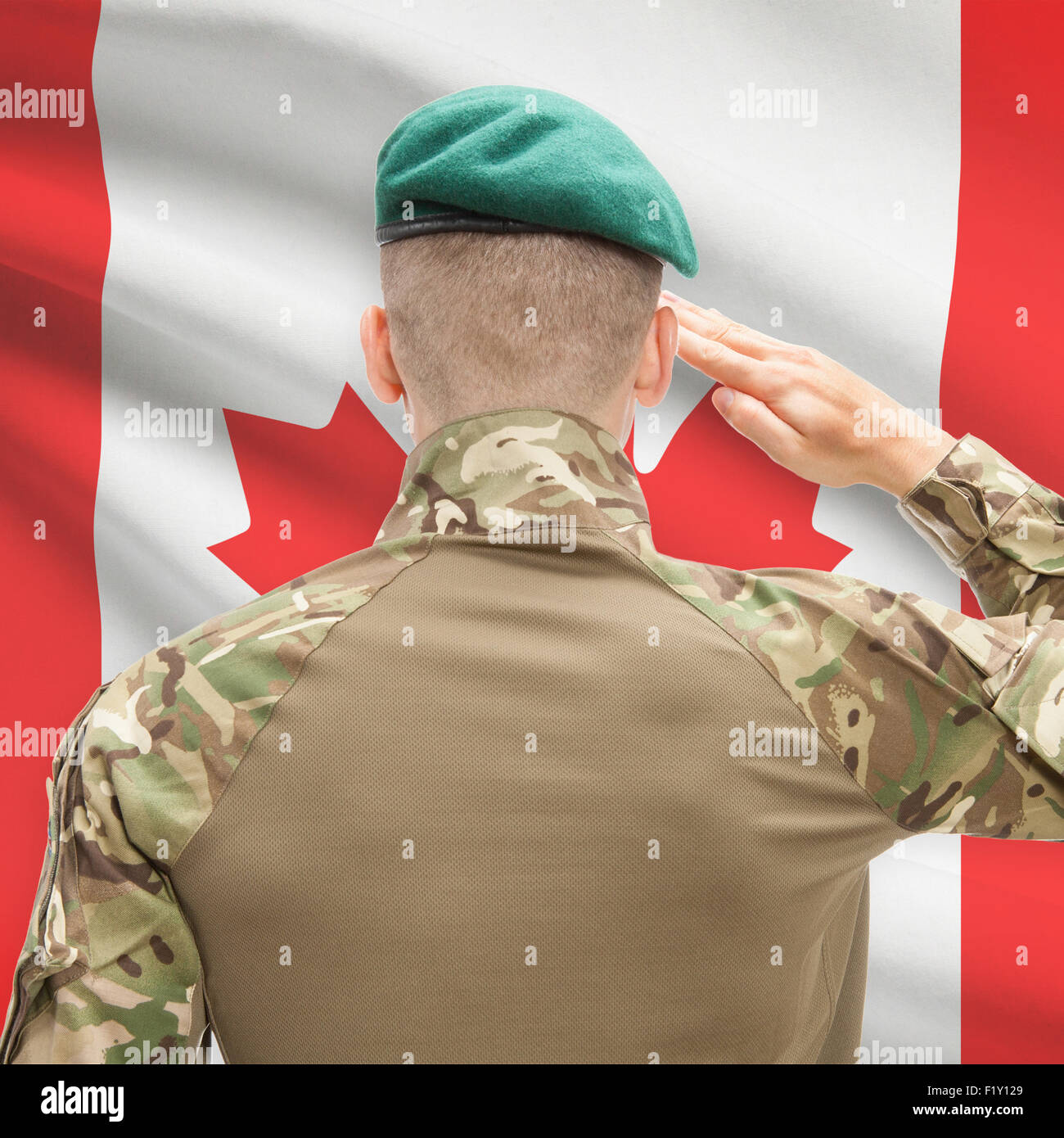 Canadian soldier salute hi-res stock photography and images - Alamy