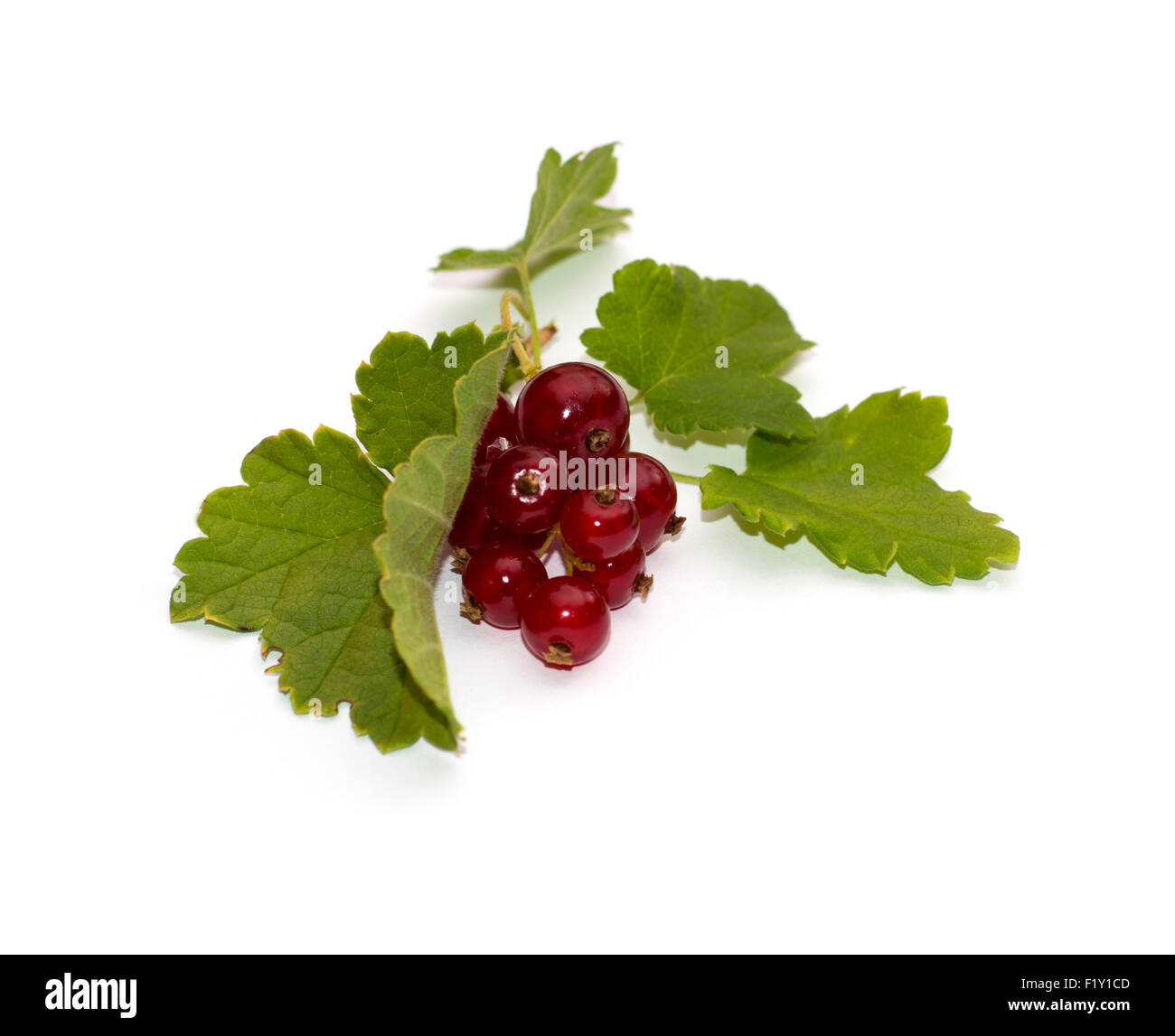 Fruits colors hi-res stock photography and images - Alamy