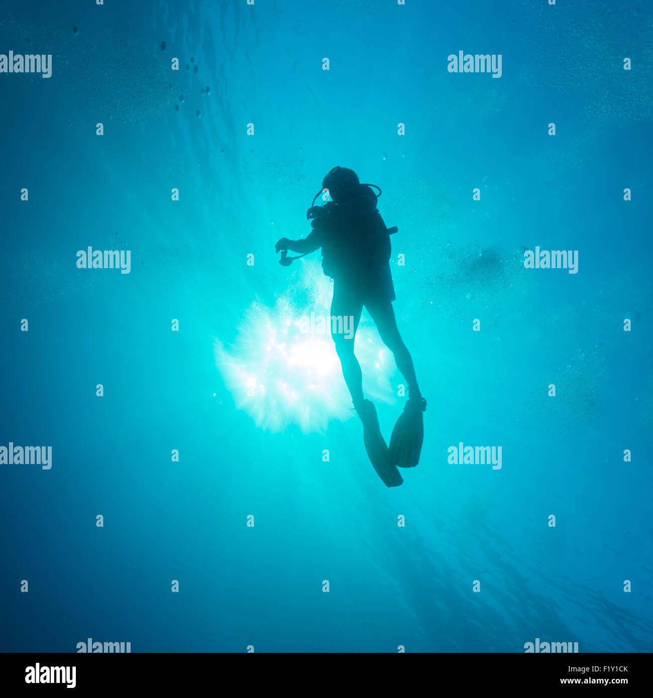 Deep sea diver hi-res stock photography and images - Alamy