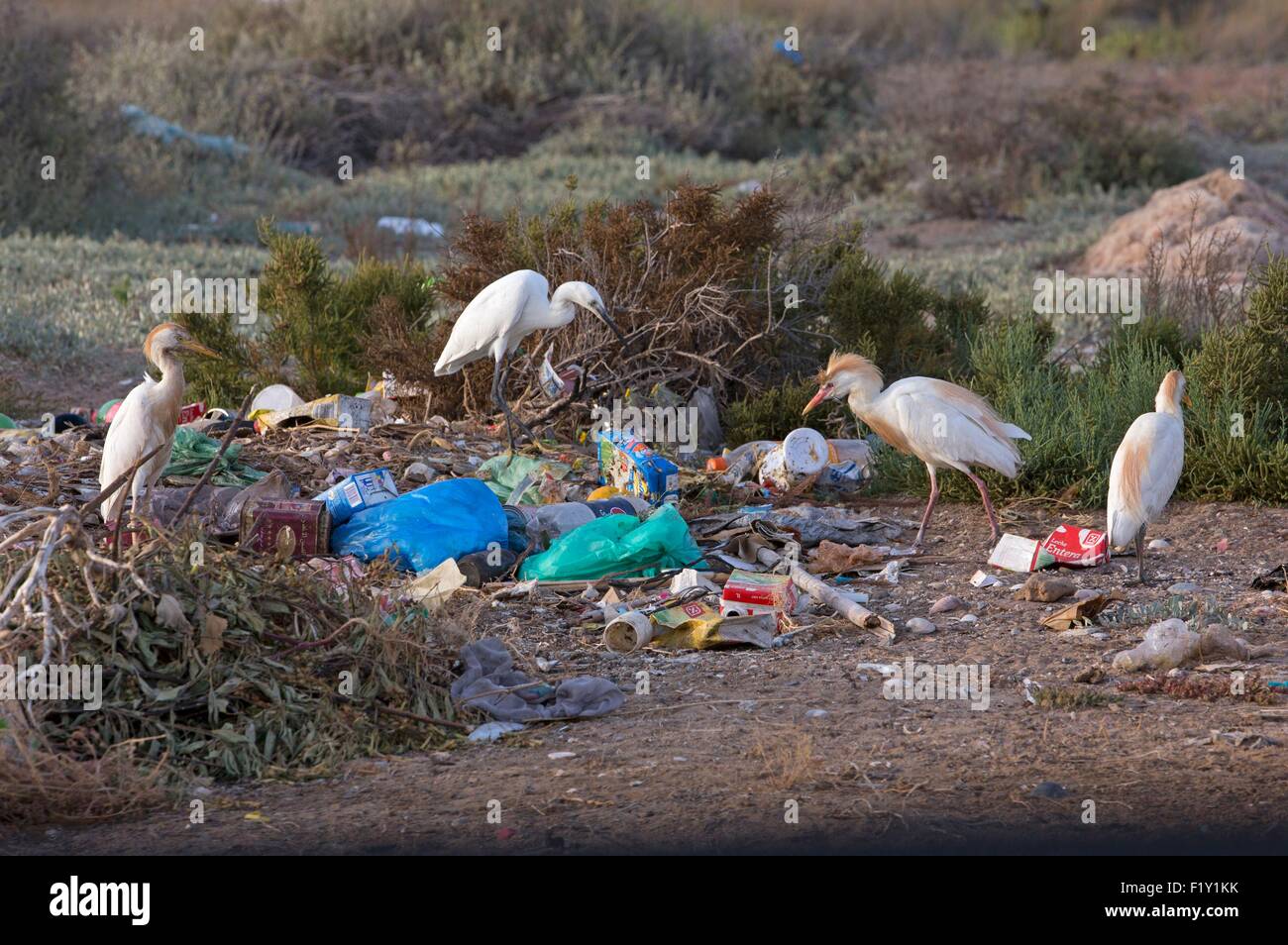 Morocco pollution hi-res stock photography and images - Alamy