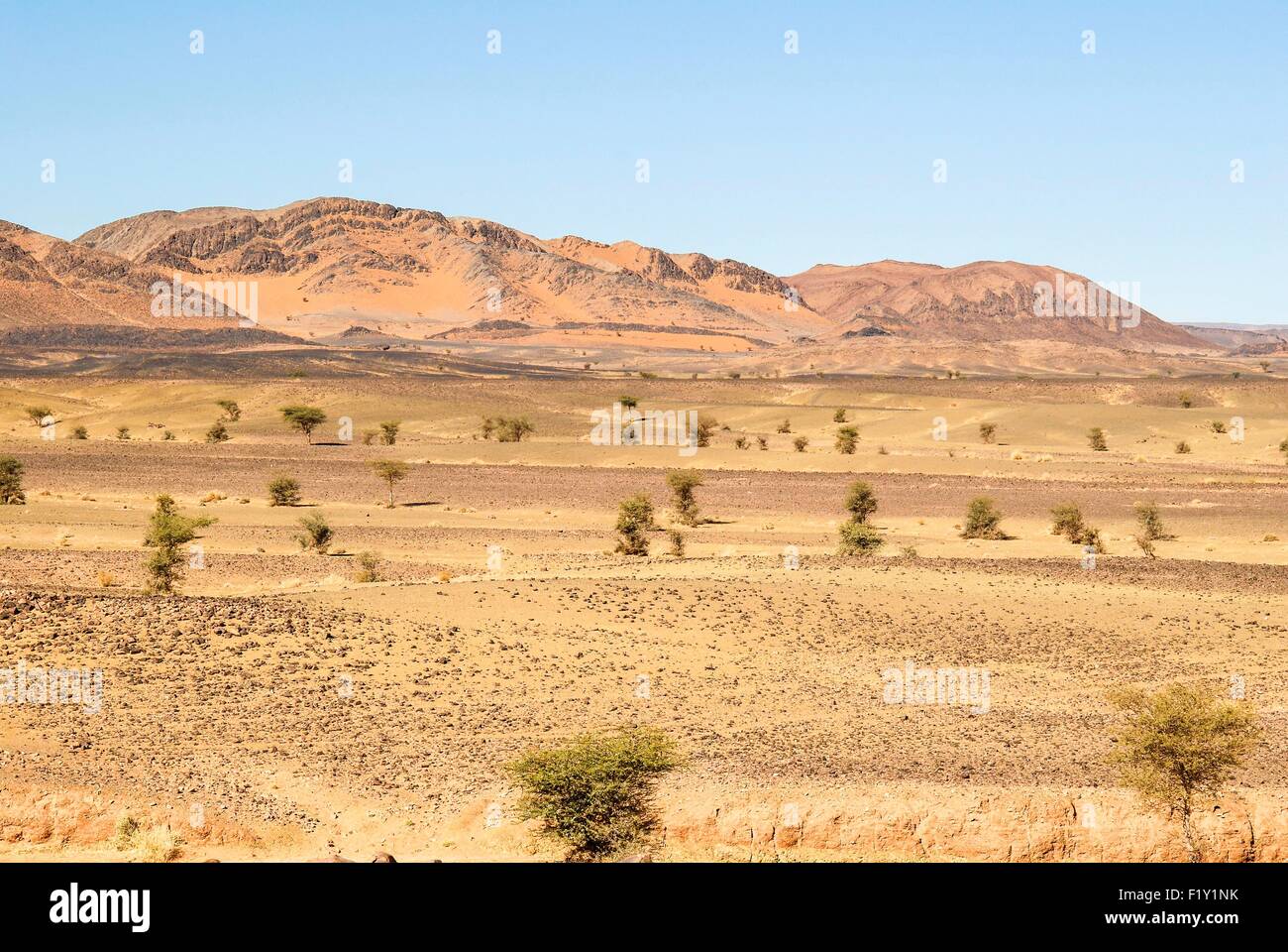 Kheb hi-res stock photography and images - Alamy