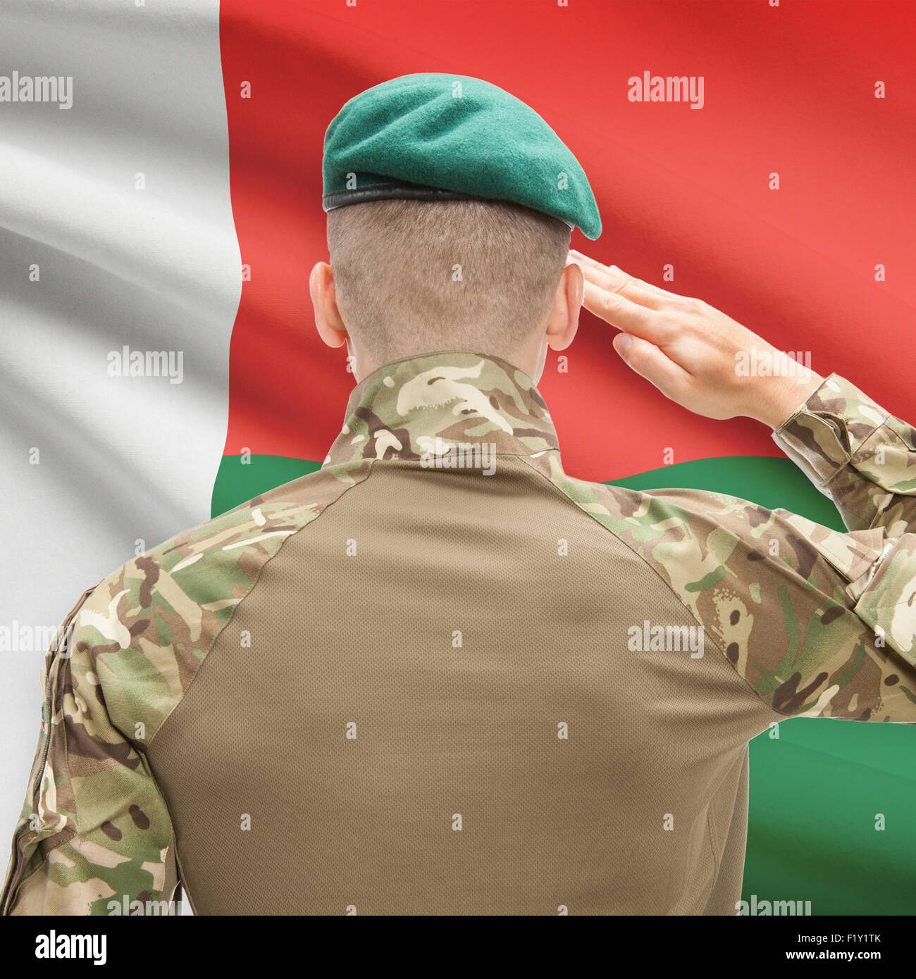 Soldier in hat facing national flag series - Madagascar Stock Photo - Alamy
