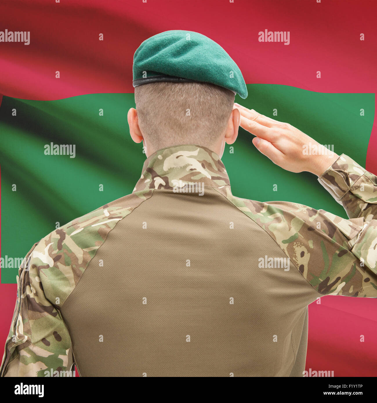 Soldier in hat facing national flag series - Maldives Stock Photo - Alamy