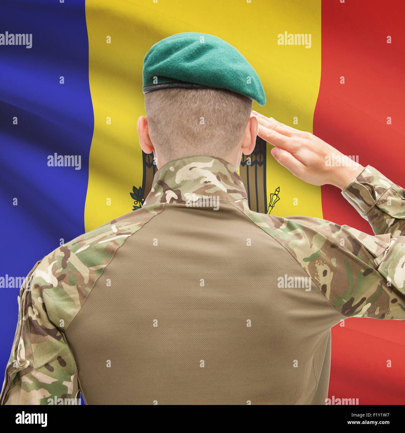 Soldier in hat facing national flag series - Moldova Stock Photo - Alamy
