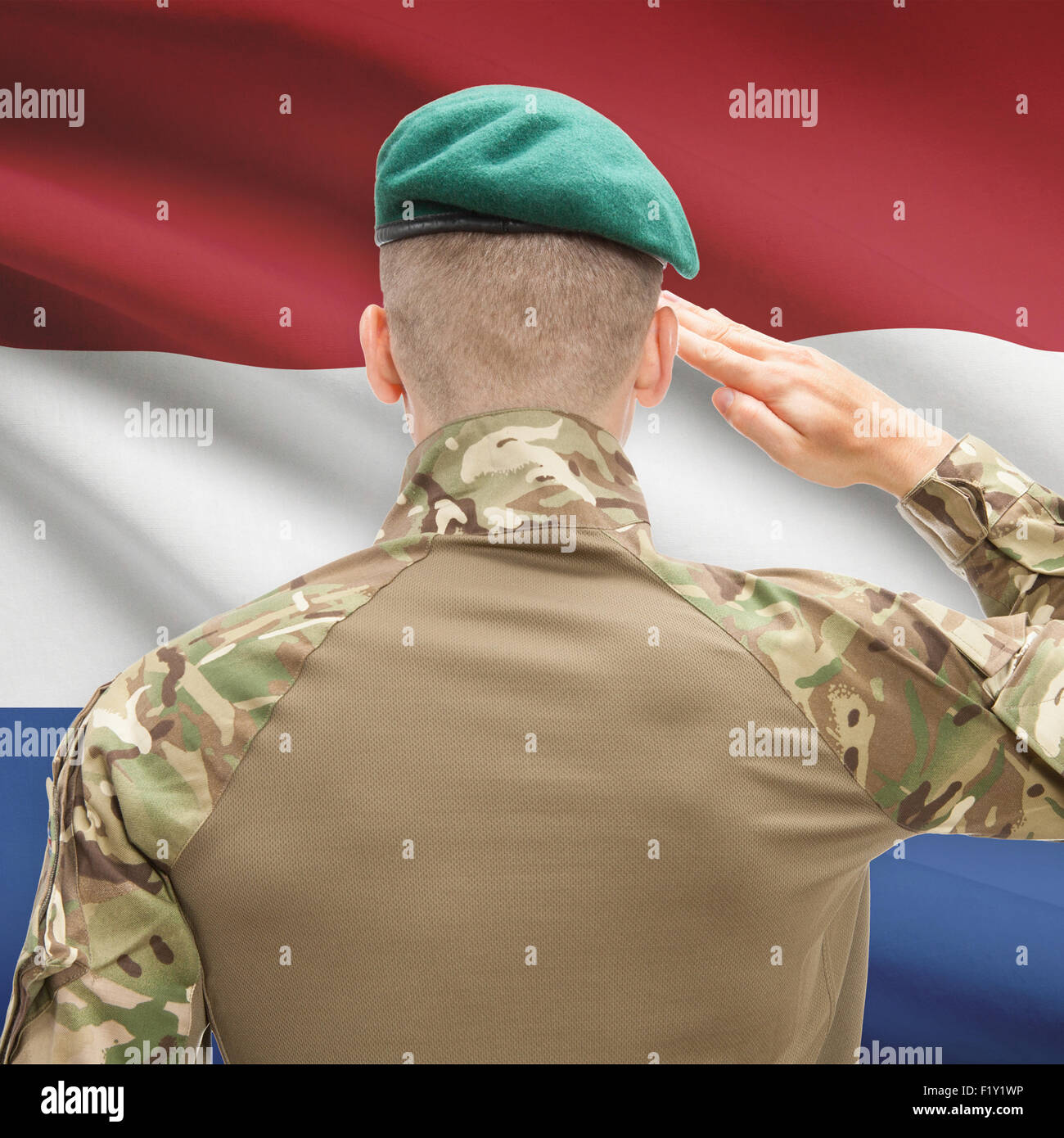 Soldier in hat facing national flag series - Netherlands Stock Photo ...