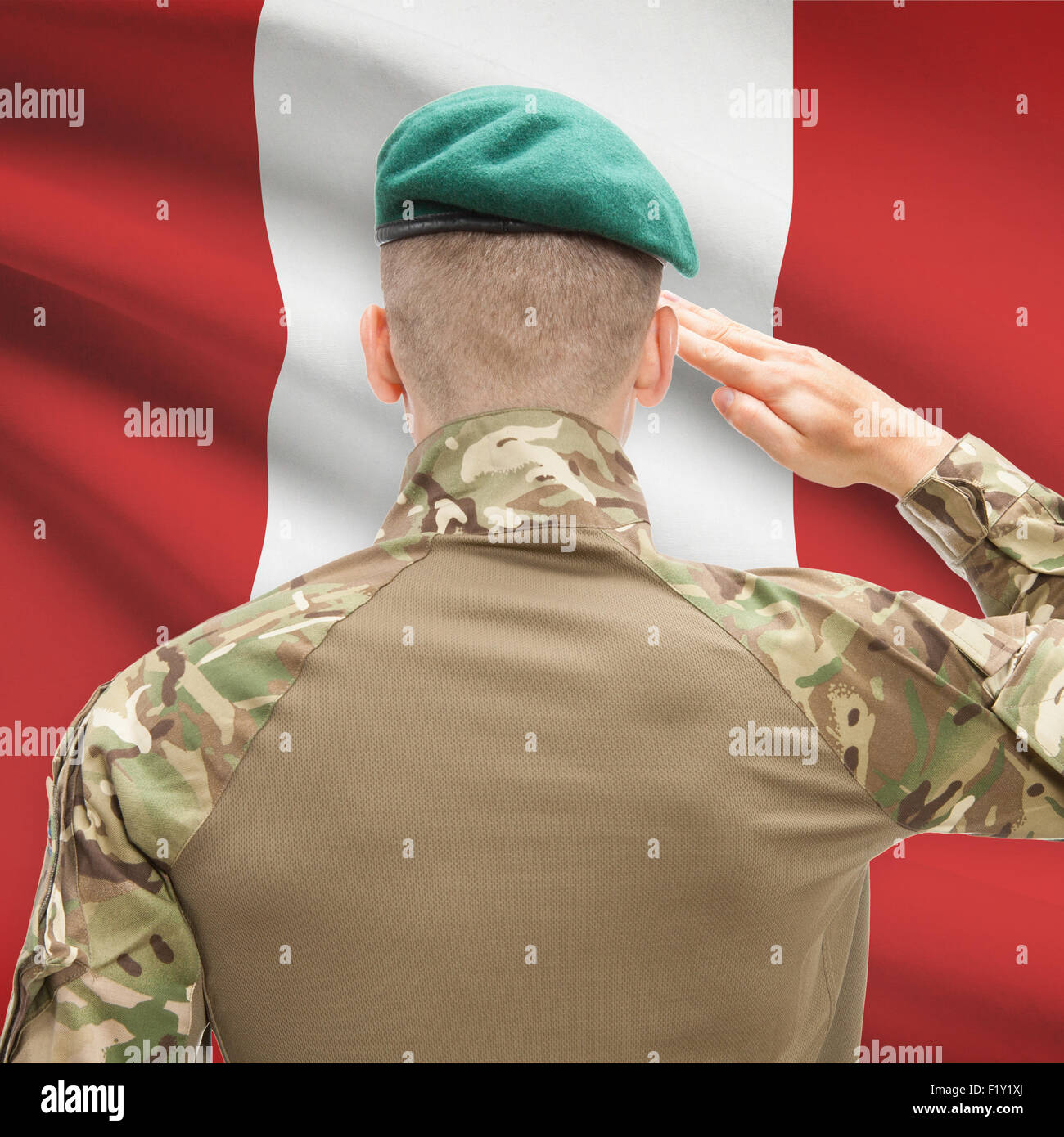 Soldier in hat facing national flag series - Peru Stock Photo - Alamy