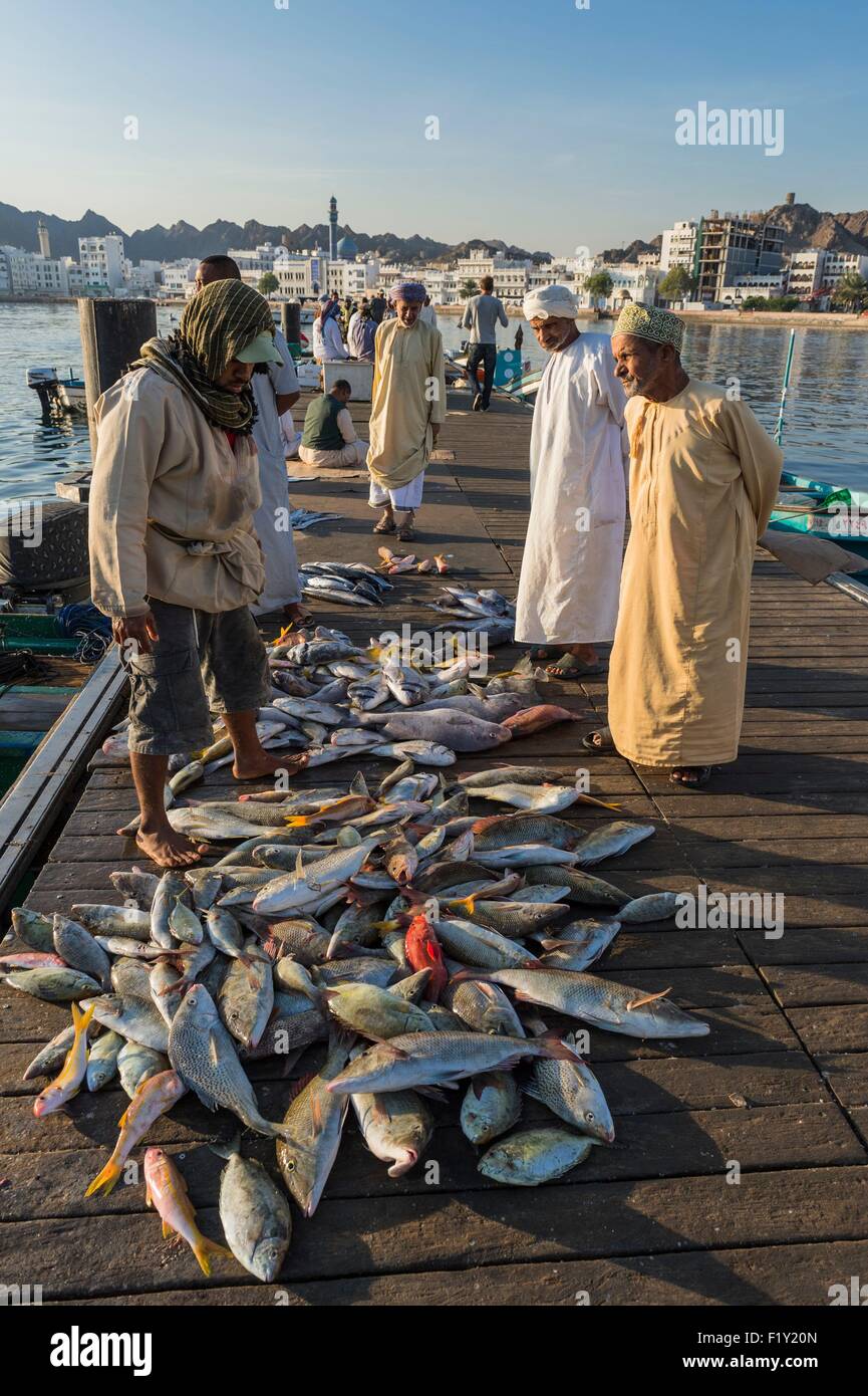 Oman muscat fish hi-res stock photography and images - Alamy