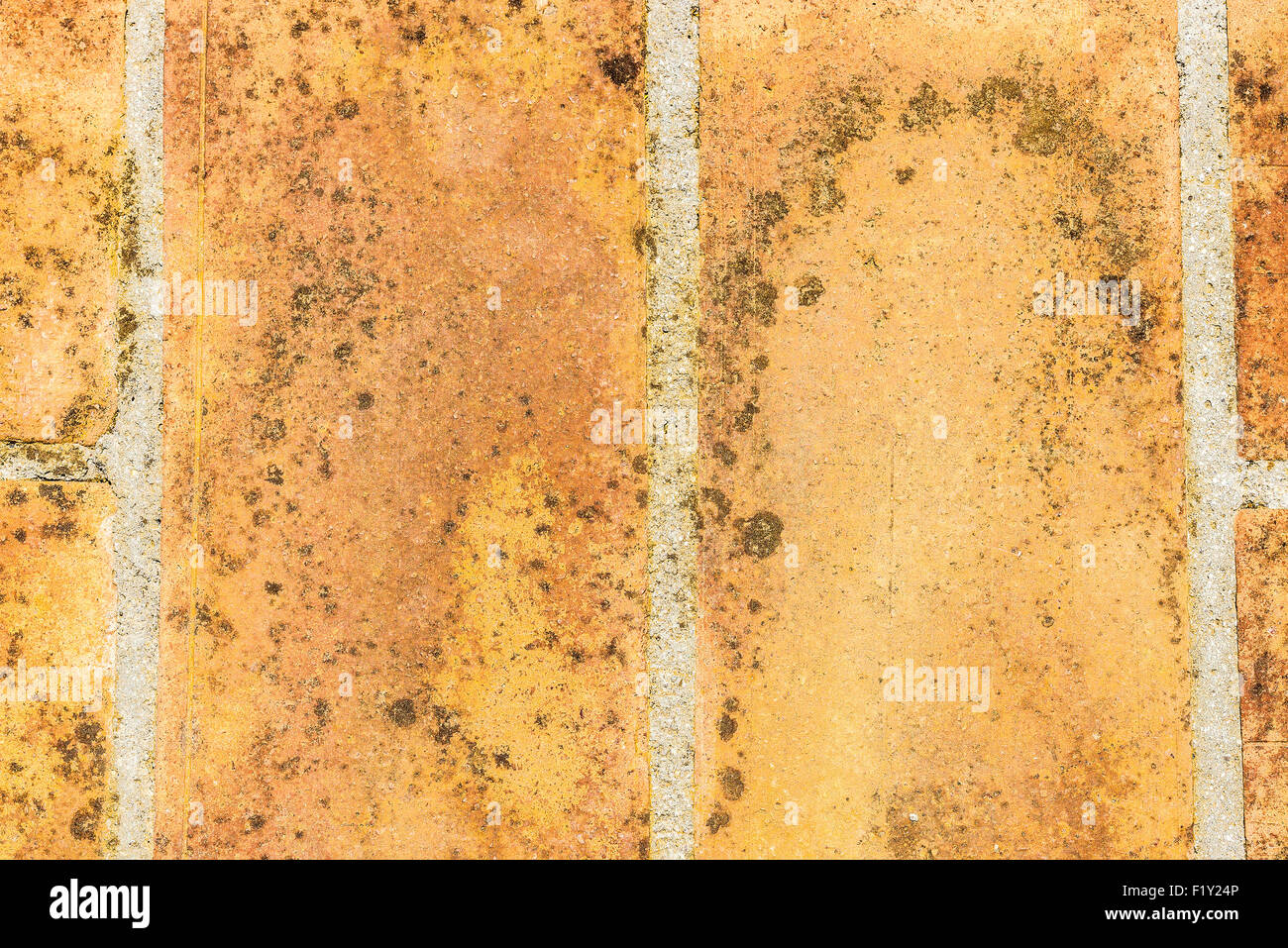 Clay slab hi-res stock photography and images - Alamy