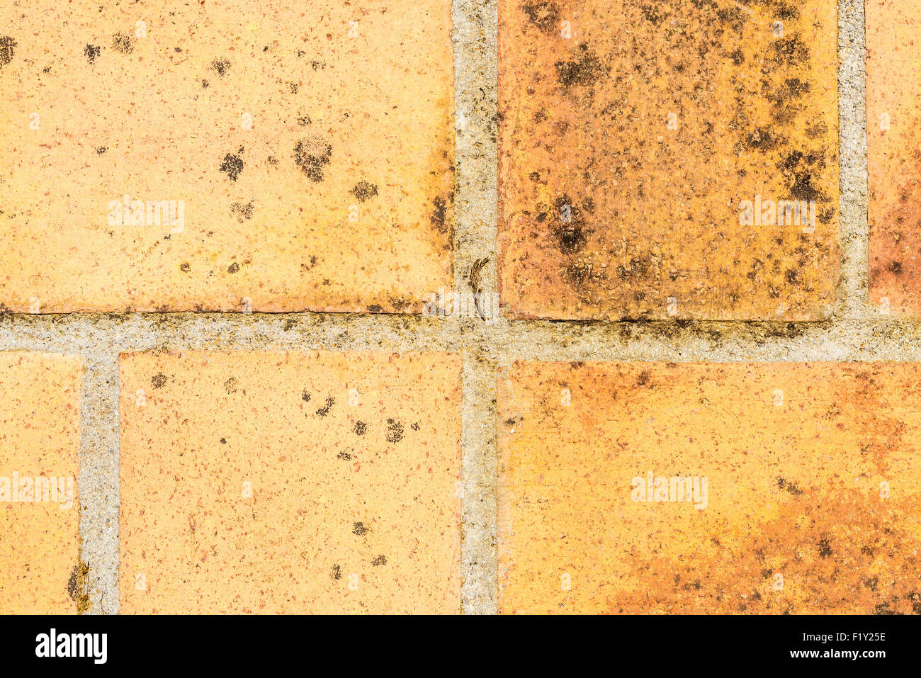 Clay paving tiles hi-res stock photography and images - Alamy