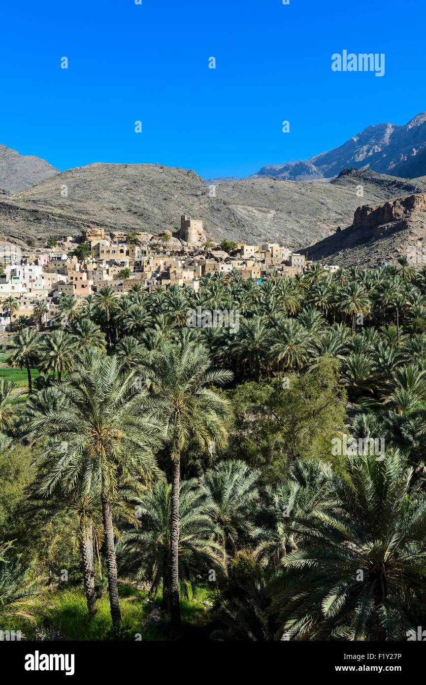 Sultanate of Oman, gouvernorate of Al-Batinah, Wadi Bani Awf in Al ...