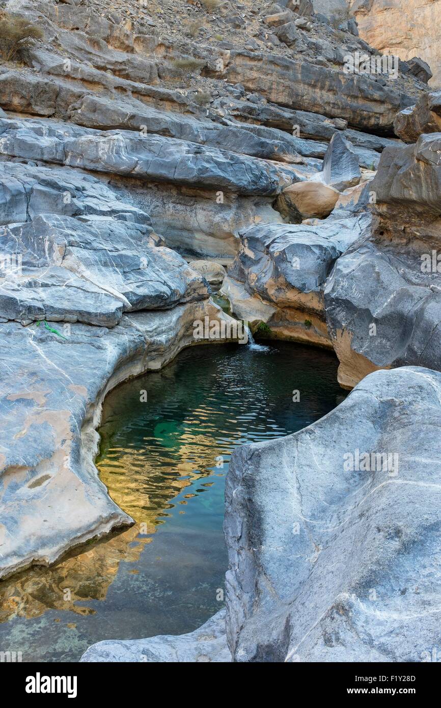 Sultanate of Oman, gouvernorate of Ad Dhahirah, Wadi Damm natural pools ...