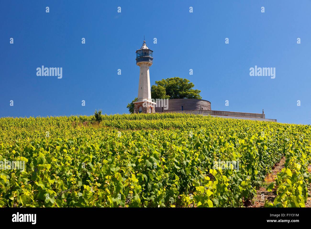 France, Marne, regional park of Montagne de Reims, Lighthouse of ...