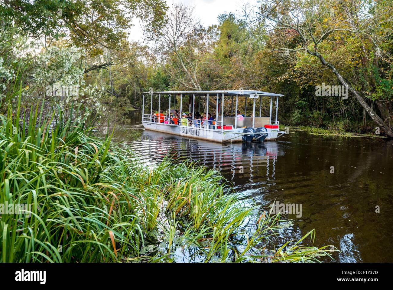 Manchac swamp louisiana hi-res stock photography and images - Alamy