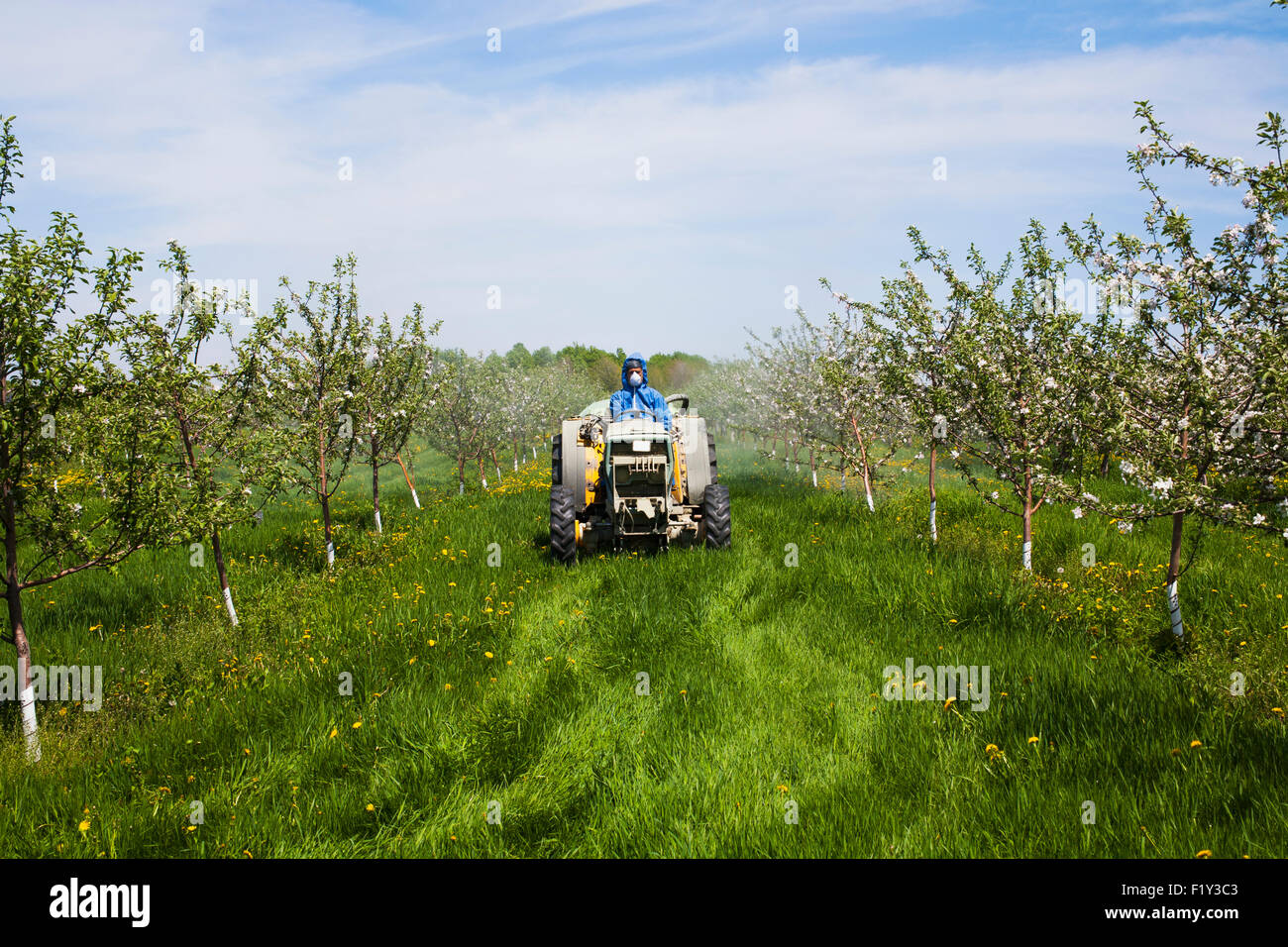 Paul orchard hi-res stock photography and images - Alamy