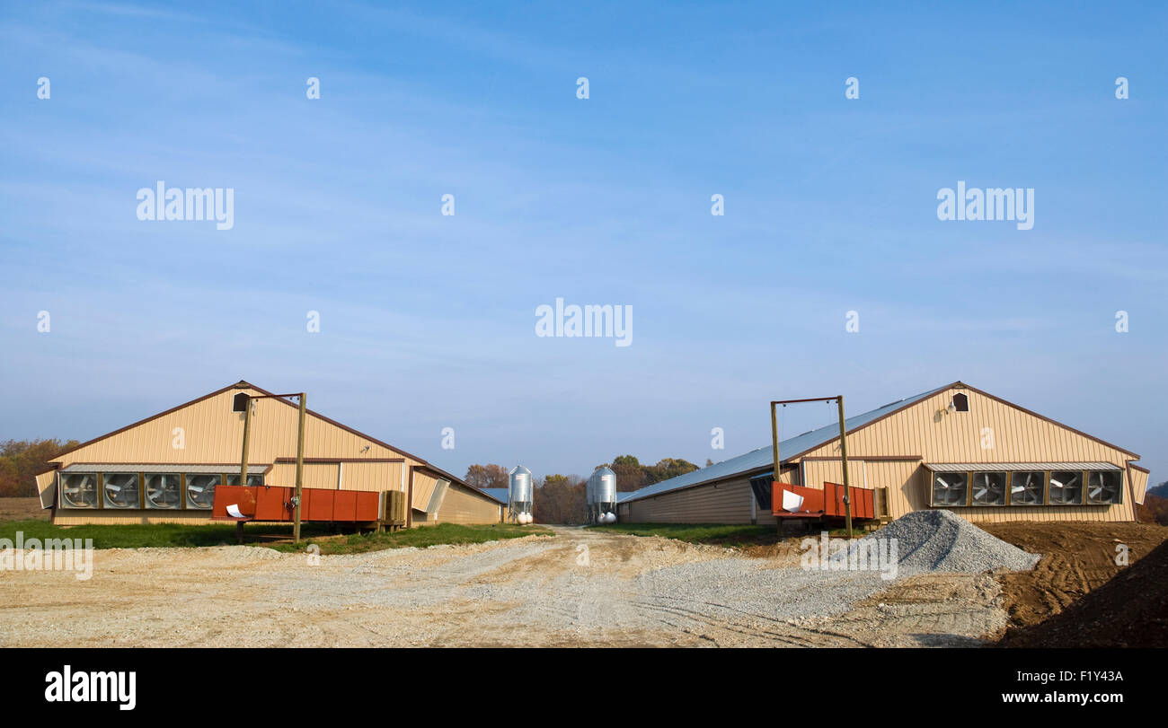 Poultry operation hi-res stock photography and images - Alamy