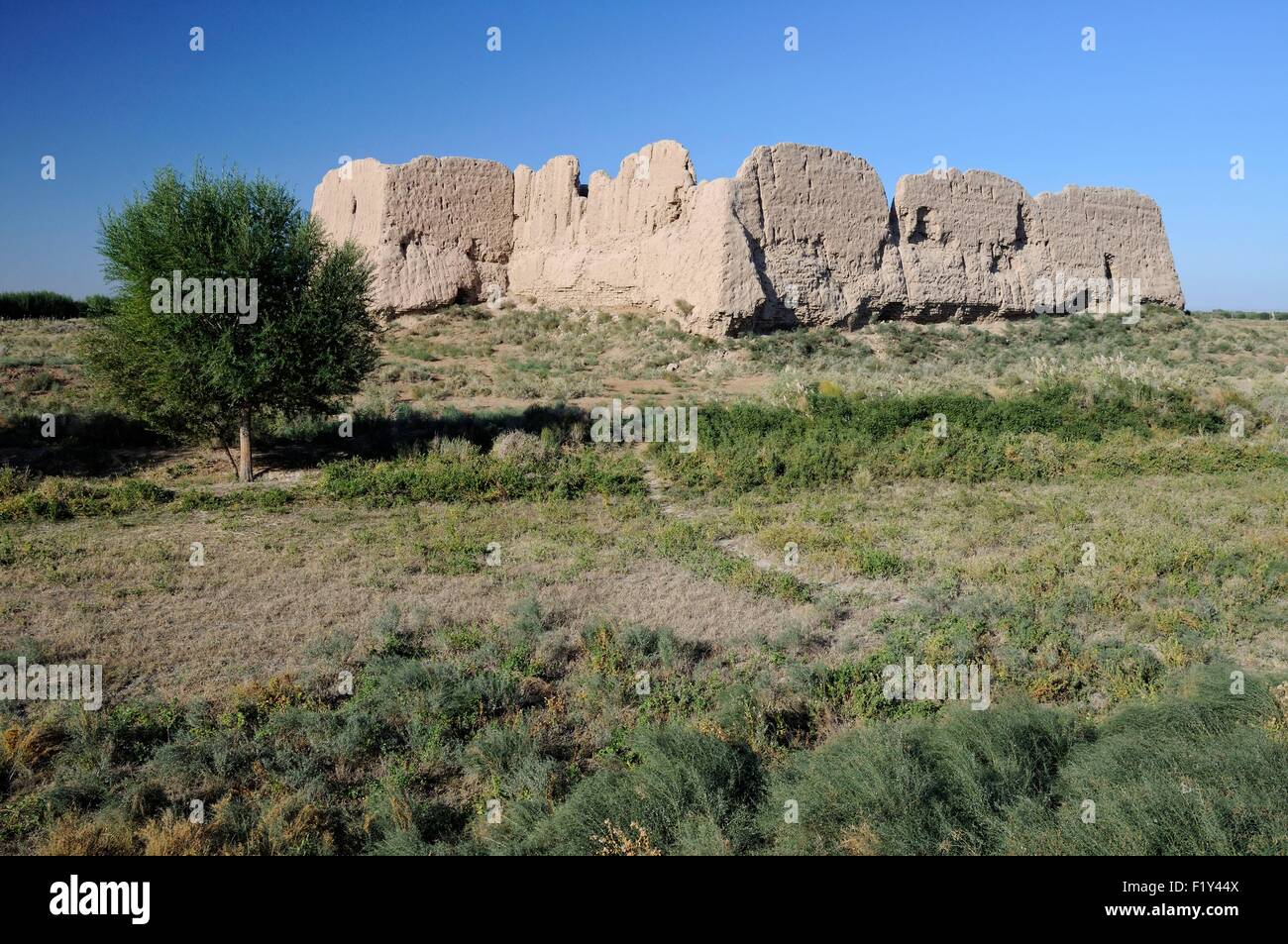 Karakalpakie hi-res stock photography and images - Alamy