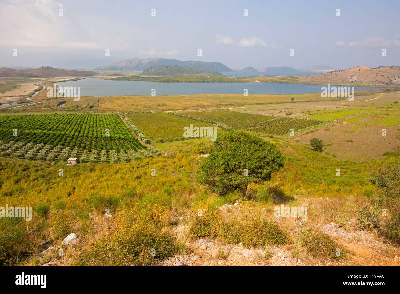 Albania, Butrint lagoon, Park Kombetar Stock Photo - Alamy