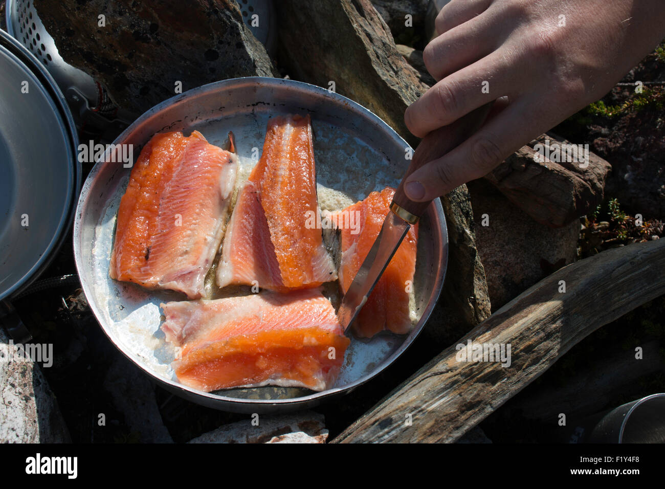 Fresh fish being cooked outdoors Stock Photo - Alamy