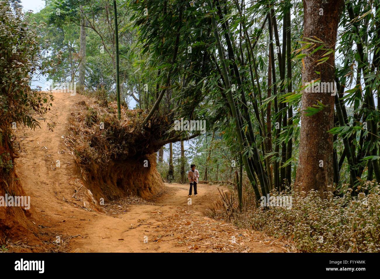 Vietnam, Yen Bai province, Muc Cang Chai, boy of Hmong ethnic group ...