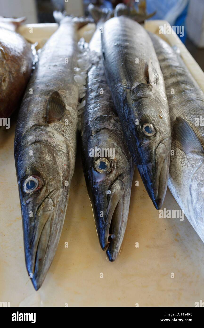 United Arab Emirates, Dubai, Deira, Fish Market Stock Photo - Alamy