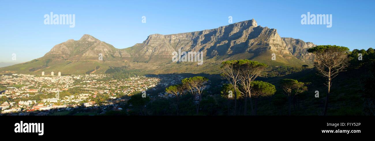 South Africa, Western Cape, Cape Town, Table Mountain, view from Signal ...