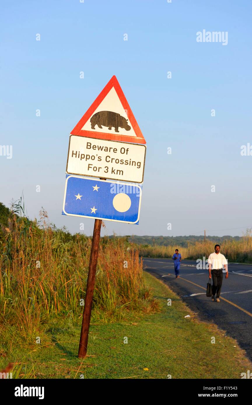 Hippo Hippopotamus Road Sign High Resolution Stock Photography and ...
