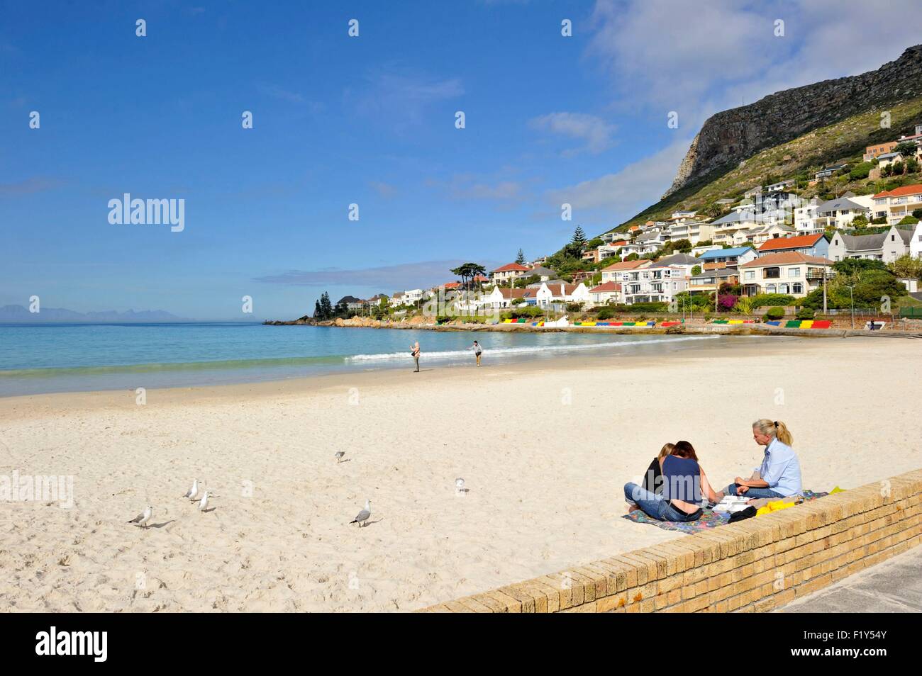 South africa cape peninsula fish hi-res stock photography and images ...