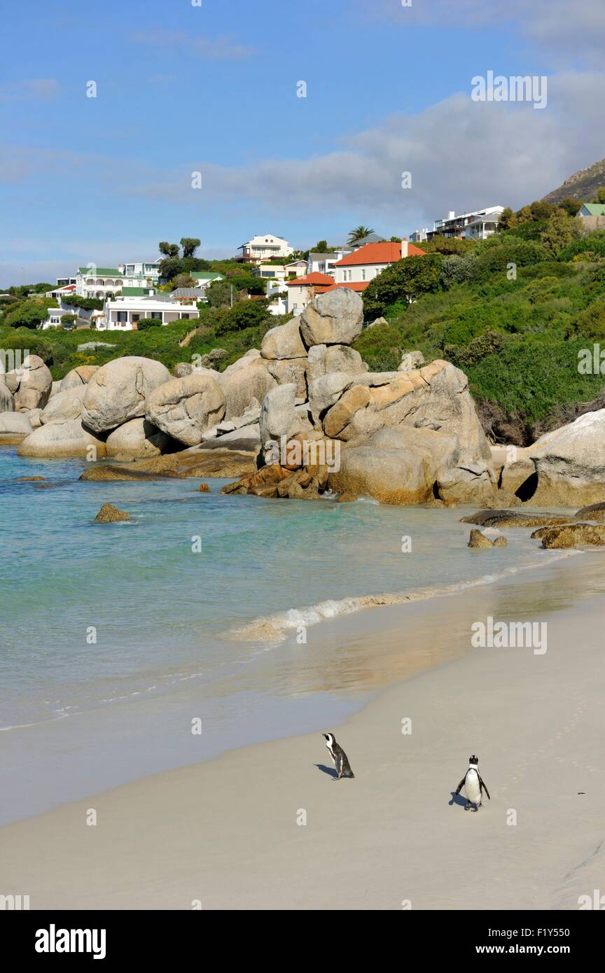 Simons town simonstown hi-res stock photography and images - Alamy