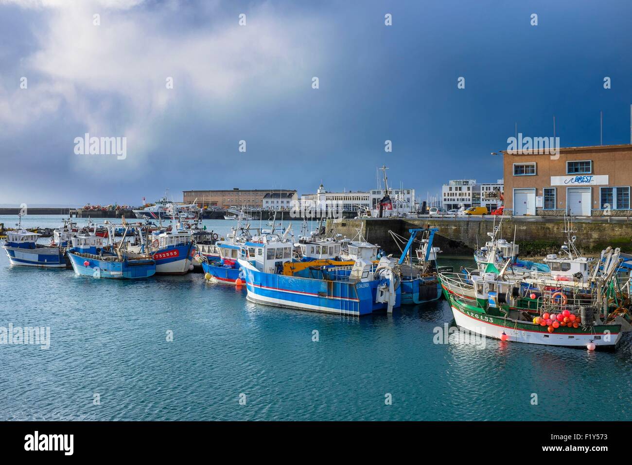 France, Finistere, Brest, the fishing port in the commercial port Stock ...