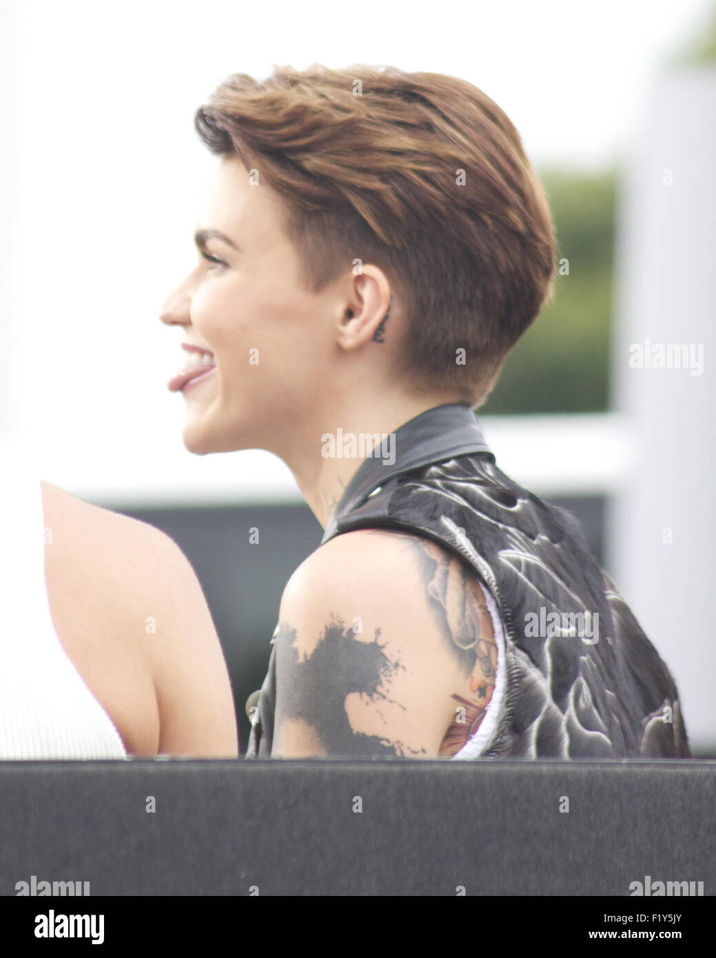Ruby rose hi-res stock photography and images - Alamy