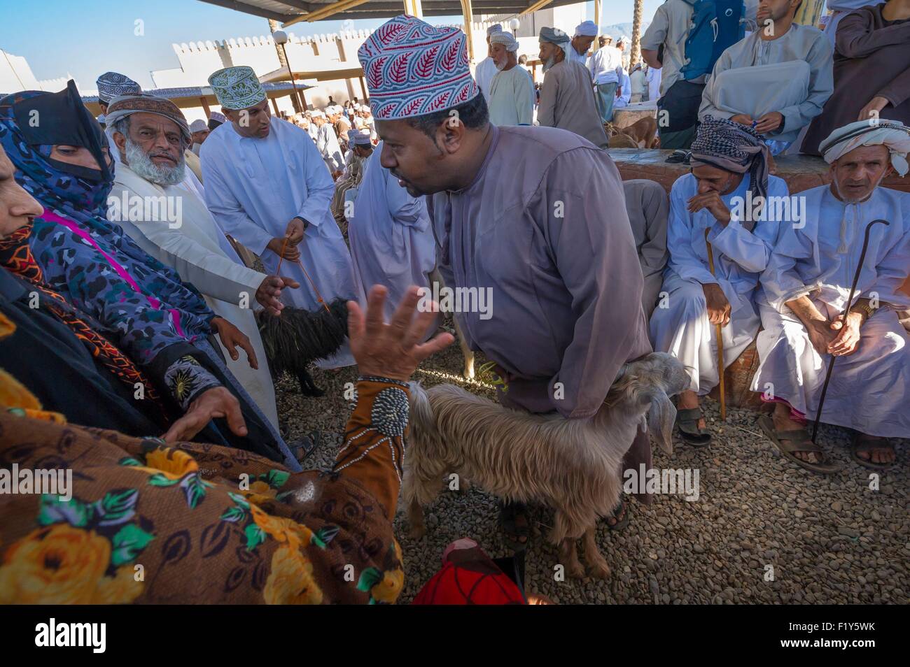 Oman, Ad-Dakhiliyah, cattle market Stock Photo - Alamy