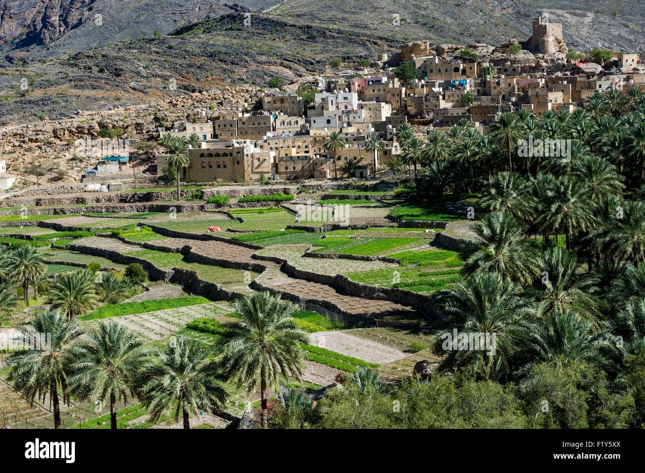 Oman, Bilad Sayt, village and terraces Stock Photo - Alamy