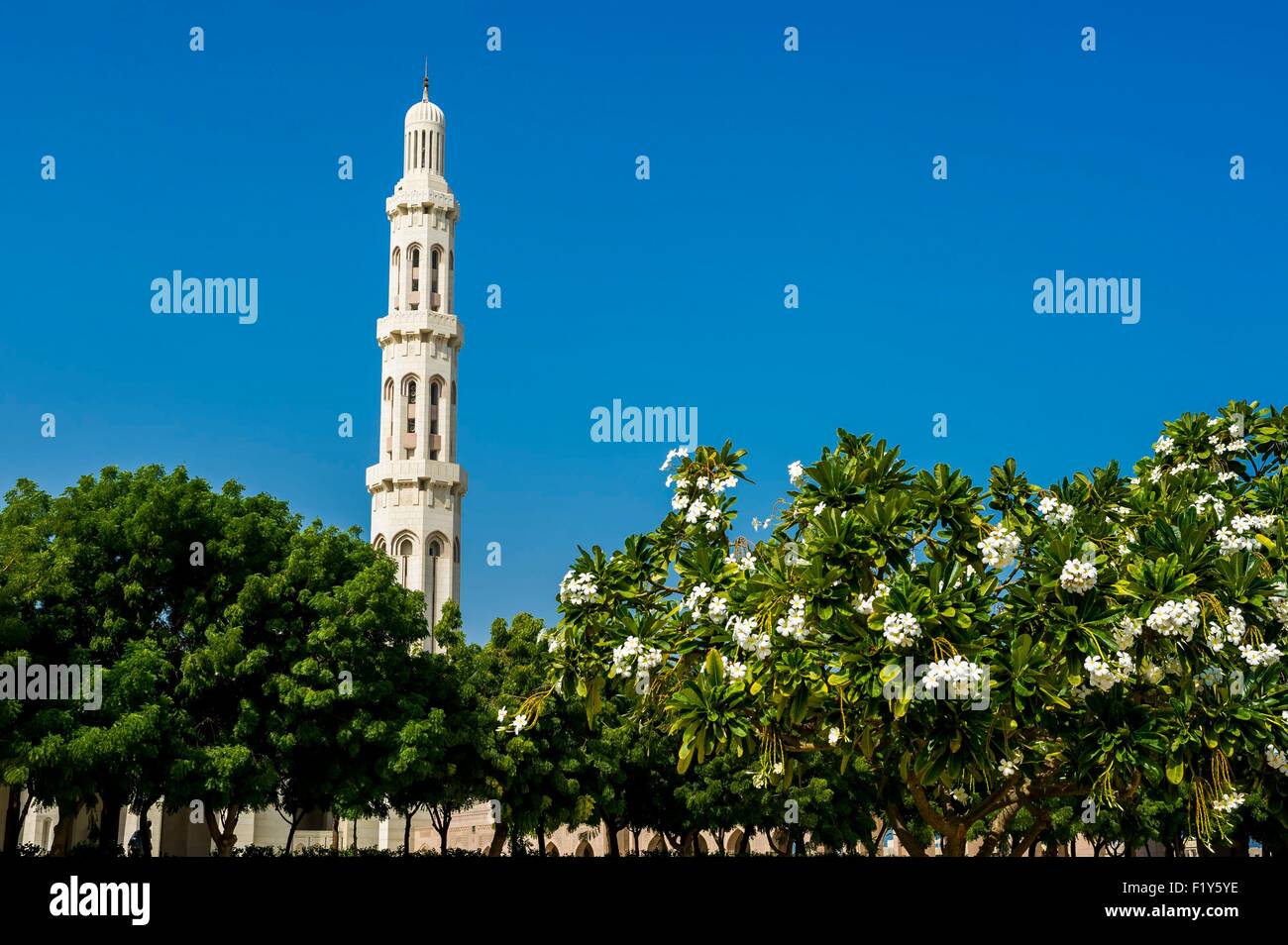 Muscat oman grand mosque gardens hi-res stock photography and images ...