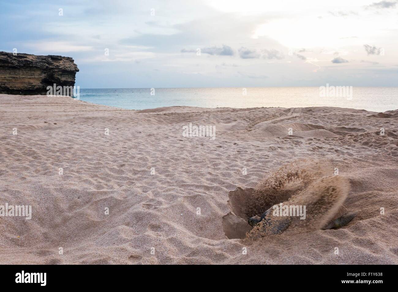 Oman, Ras-al Jinz, National Reserve and scientific center of marine ...