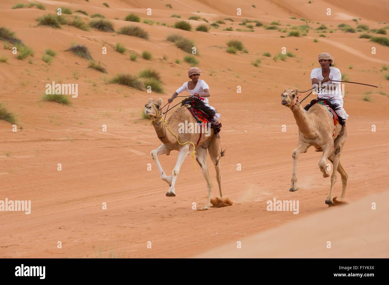 Oman, Sharquiyah Sands the Eastern Sands, Raka, camel race Stock Photo ...