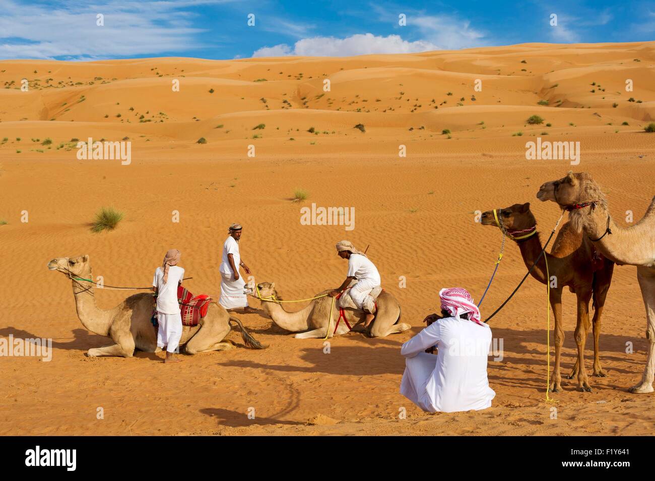 Oman, Sharquiyah Sands the Eastern Sands, Raka, camel race Stock Photo ...