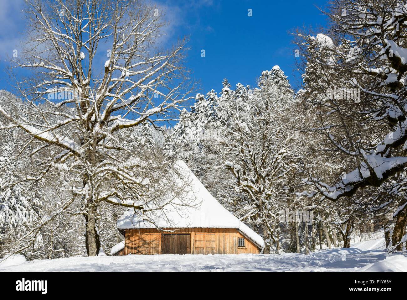 France, Isere, Parc Naturel Regional de la Chartreuse (Natural regional ...