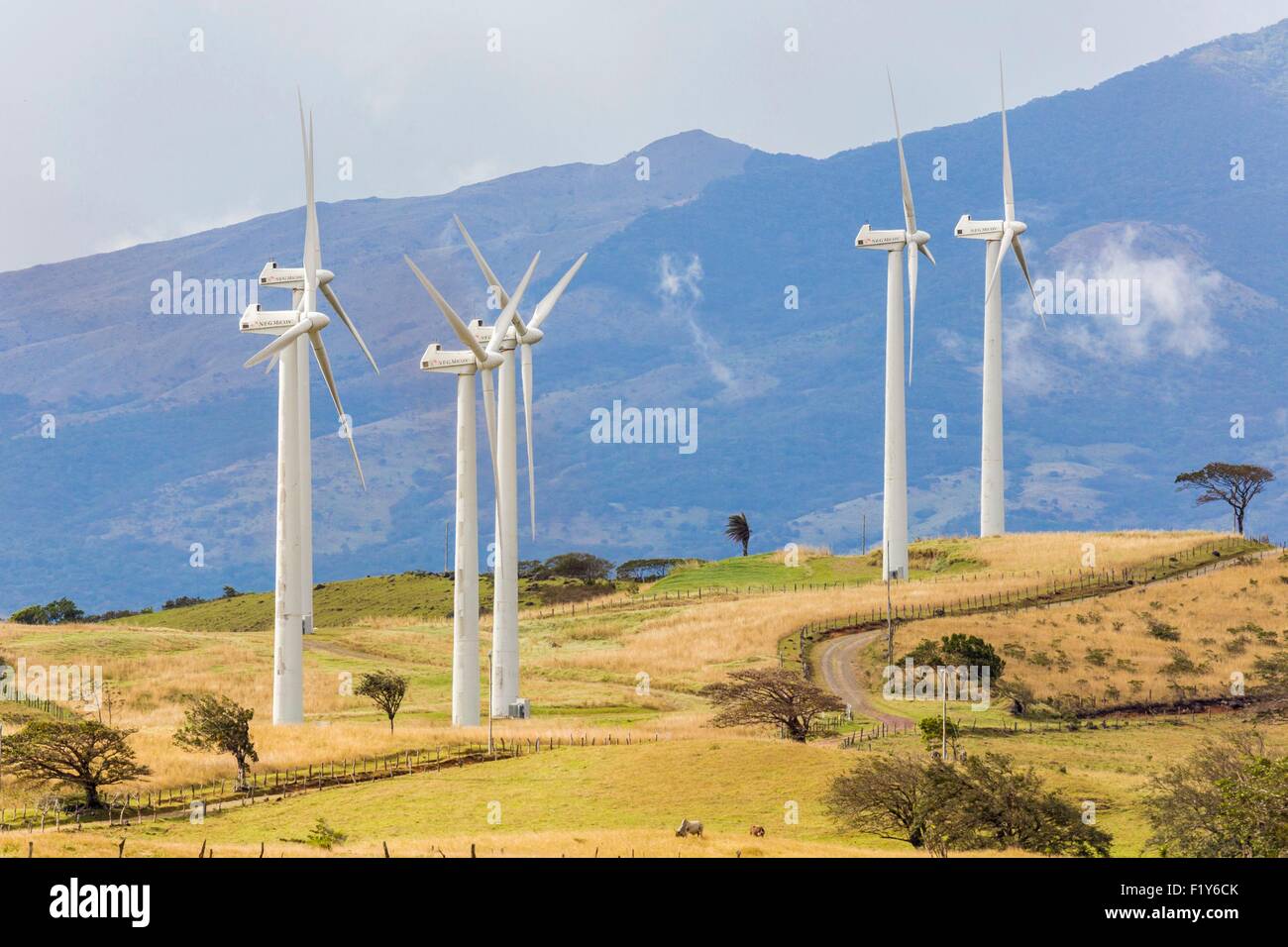 Costa Rica, Alajuela province, Tenorio, wind turbine Stock Photo - Alamy
