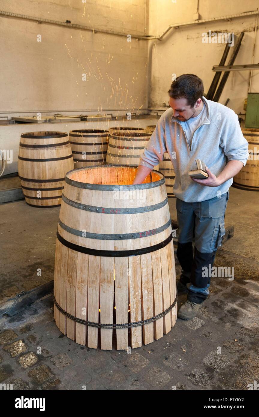 France, Charente, Cognac, Hennessy cognac company, cooperage, making of ...