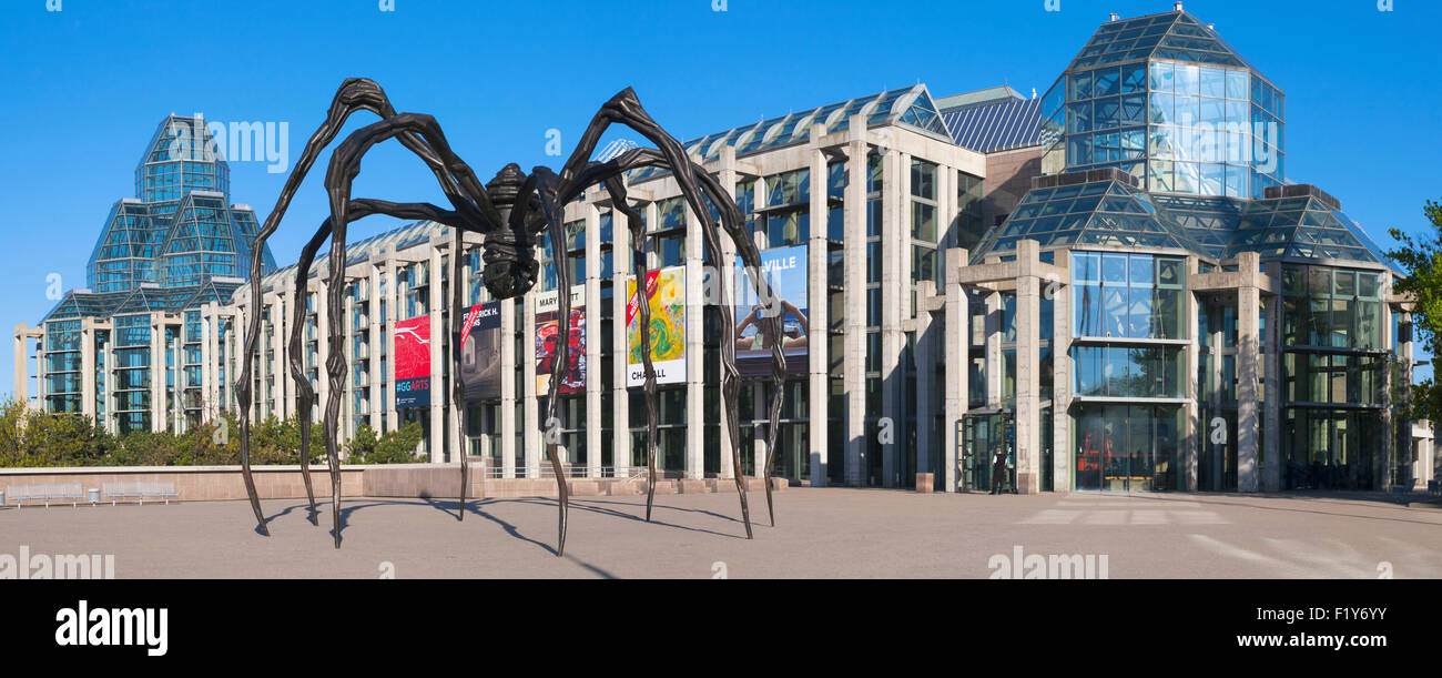 Spider likeness hi-res stock photography and images - Alamy