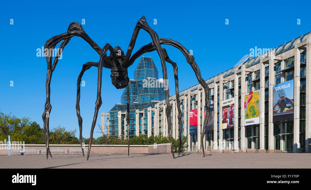 Spider likeness hi-res stock photography and images - Alamy