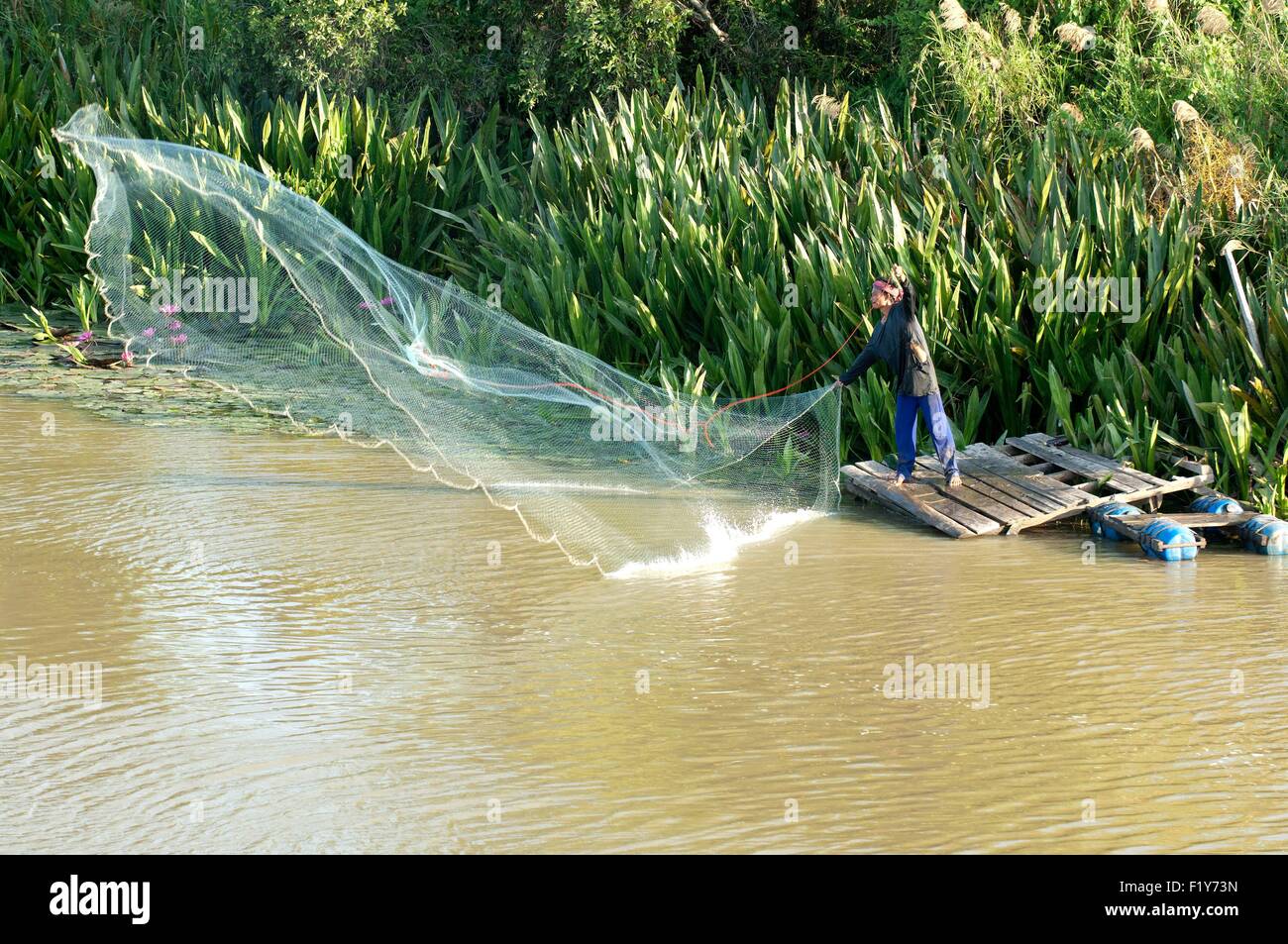 The hawk fishing from shore hi-res stock photography and images - Alamy