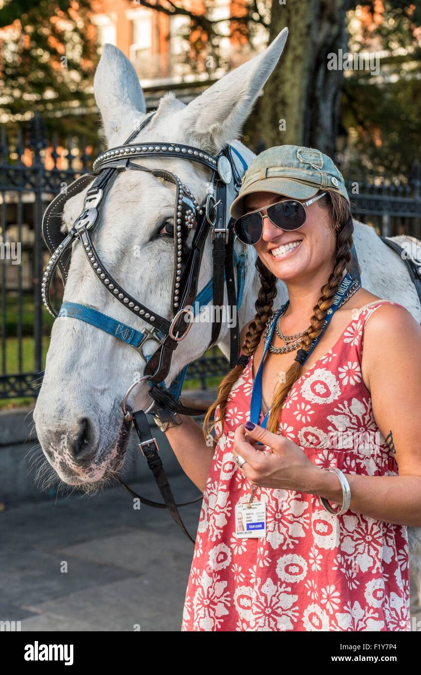 Horse carriage driver hi-res stock photography and images - Alamy