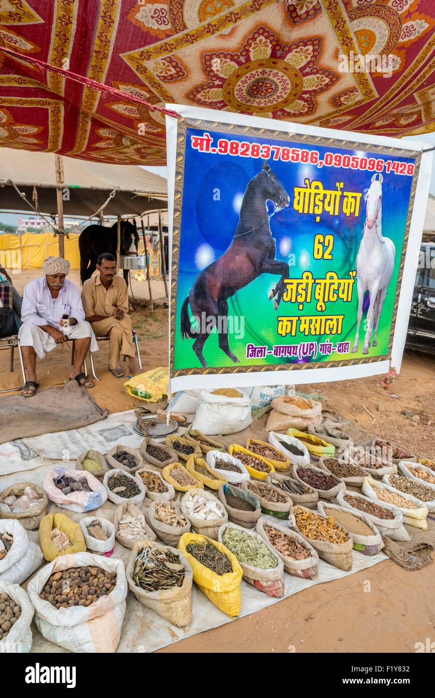 India, Rajasthan state, Pushkar, the Pushkar cattle fair Stock Photo ...