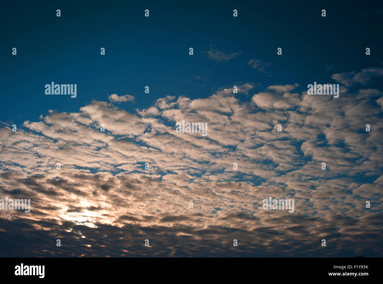 stratocumulus clouds at Sunset Stock Photo - Alamy